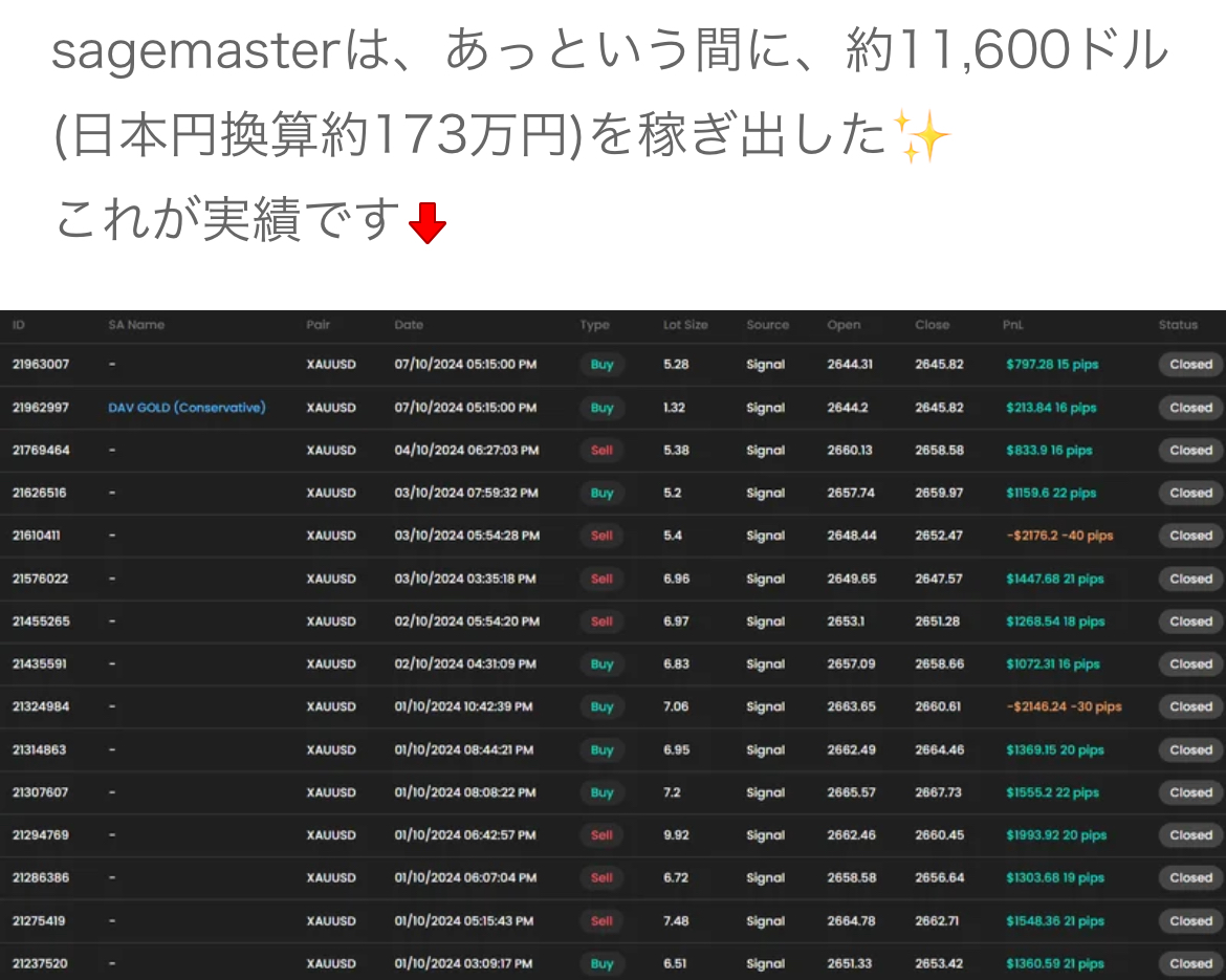 beのトレードツール Sagemaster(セージマスター）の特徴と魅力を徹底解説！ - 中野和幸（なかのかずゆき）